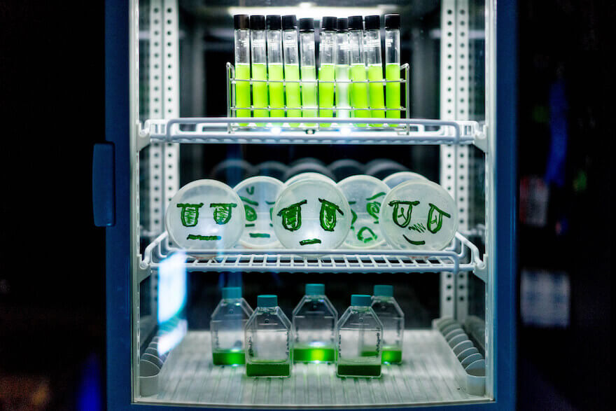 BioClub – A cutting edge space and home for DIY bio community in Tokyo ...