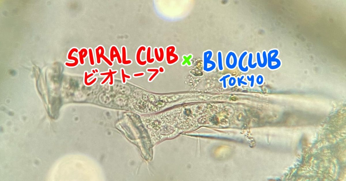 Spiral Club × BioClub: Biotope Observation Day - FabCafe Tokyo